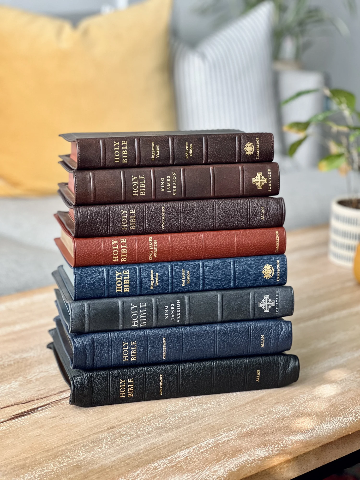 Premium KJV Bible Comparison — Tim Wildsmith