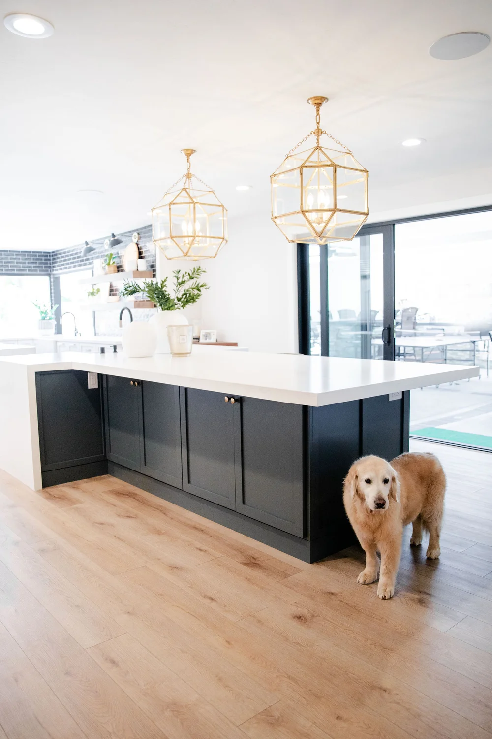 Modern Family Living — Gracious Living at Home