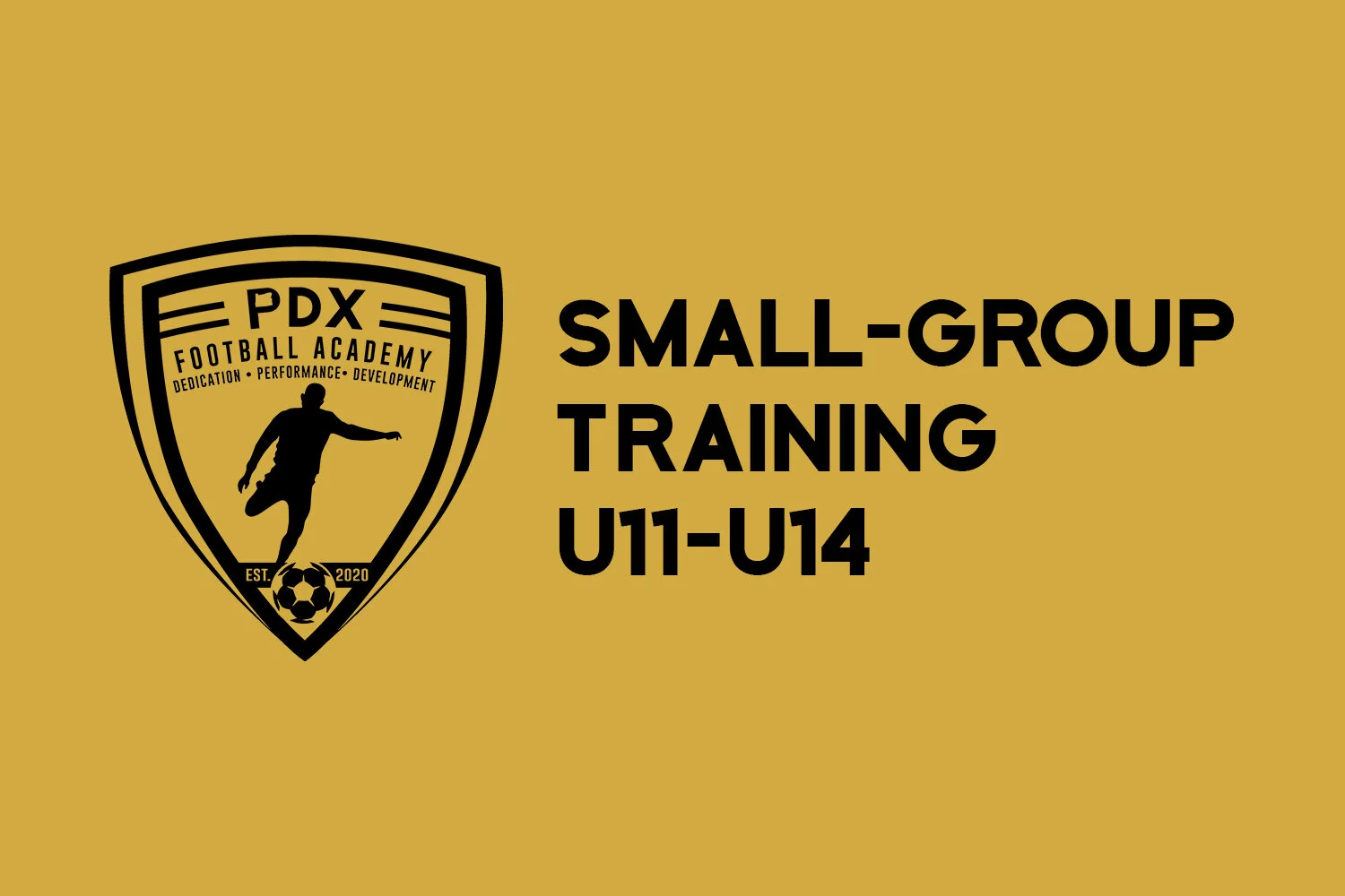 Small Group Soccer Training — PDX FOOTBALL ACADEMY