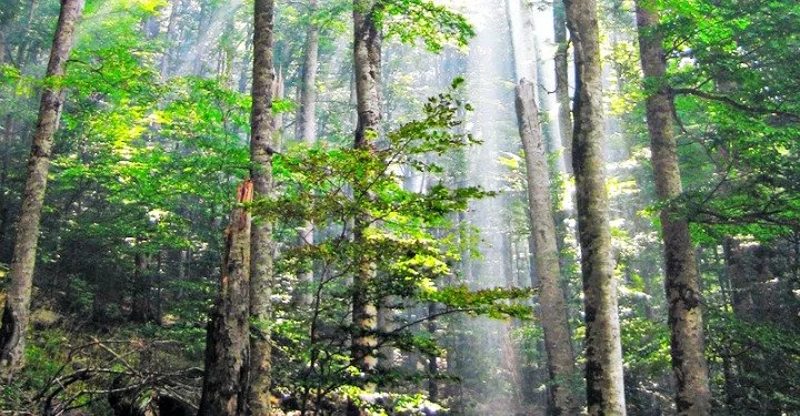 Unlock YOUR Magnificent Opportunities — Sacred Planet | Guiding You At ...