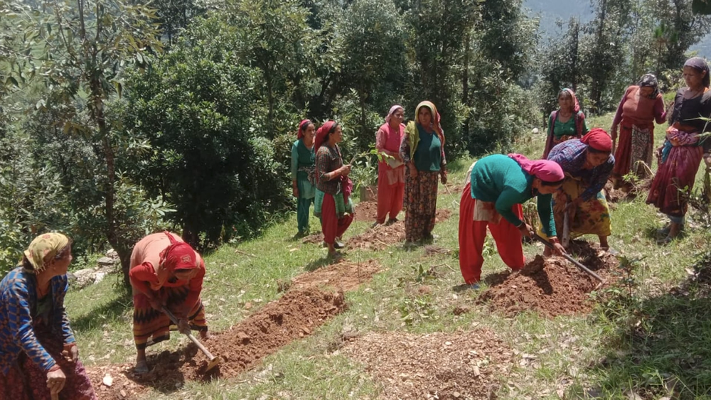 New Video: 5 strategies for participatory climate action - a story from ...