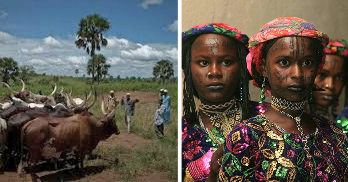 Accelerators are launching 30 new participatory programs focused on climate & innovation ...