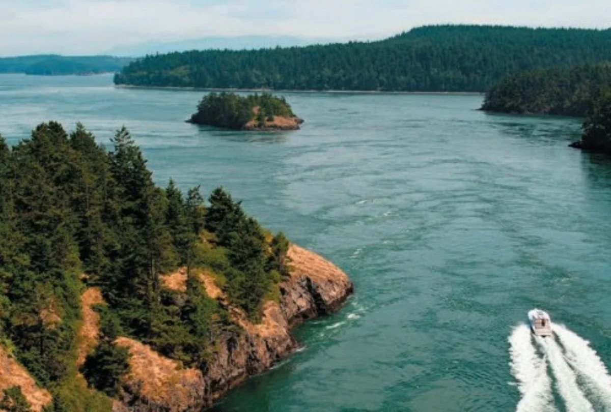 Washington Climate Assembly Report — People Powered