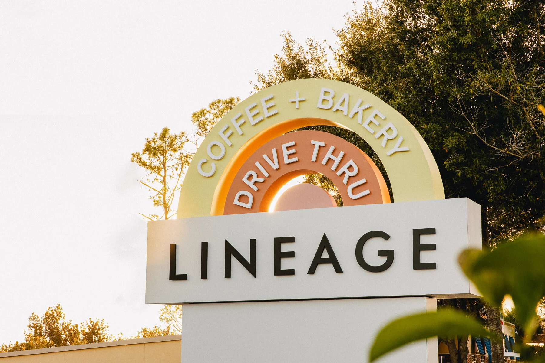 Lineage Roasting — DESIGN IN COFFEE.