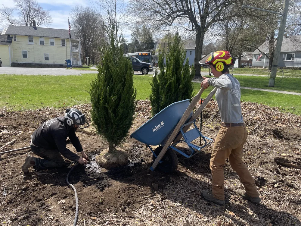 Woodsmith Forestry & Tree Service & Tree Service