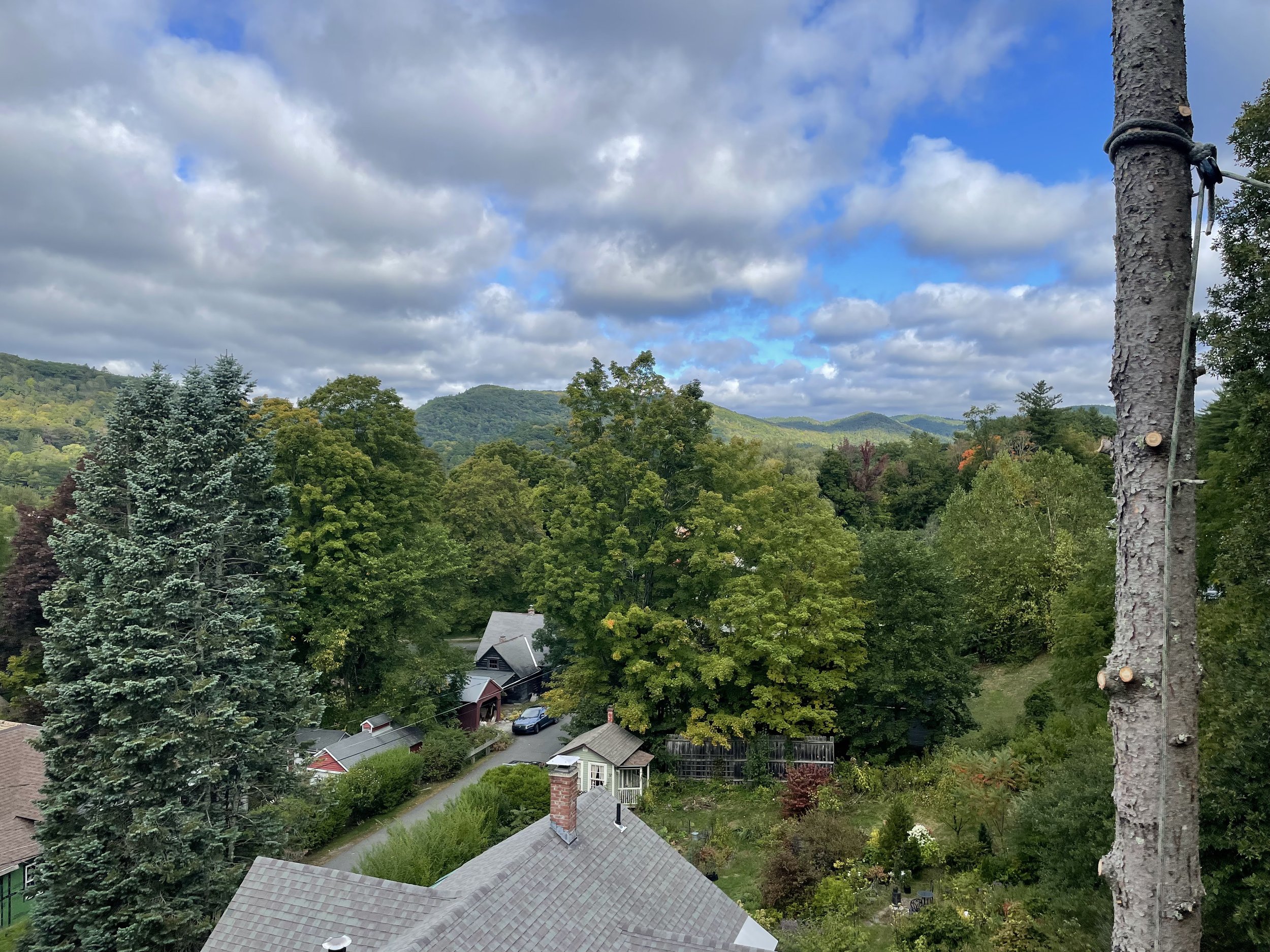 Woodsmith Forestry & Tree Service & Tree Service