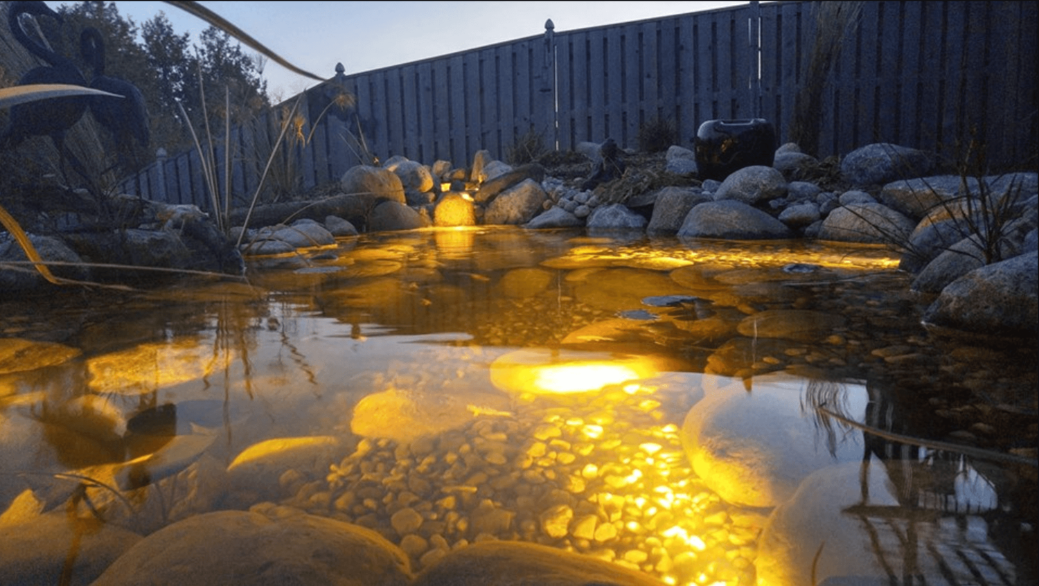 How Much Does an Ecosystem Pond Cost? Pricing & Factors — Pond ...