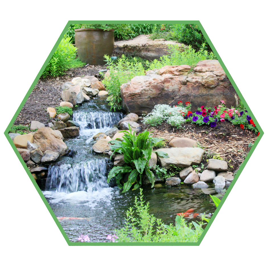 Backyard Pond Builder