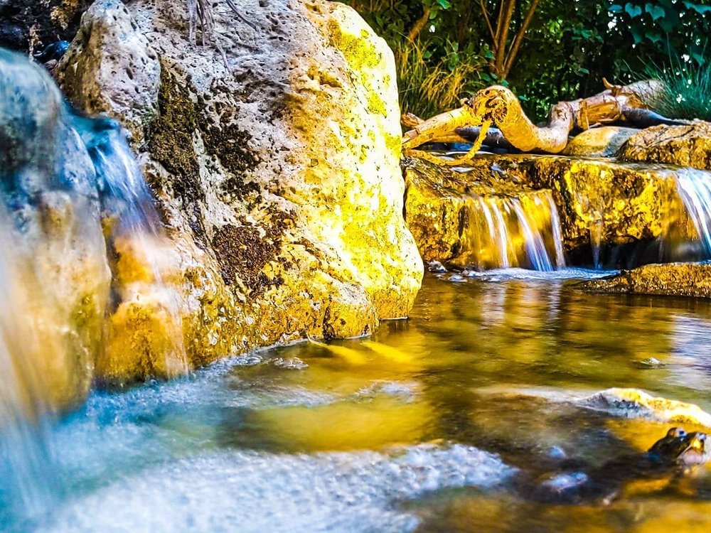 How to Build a Small Pond + 5 Backyard Pond Ideas | Epiphany Ponds ...
