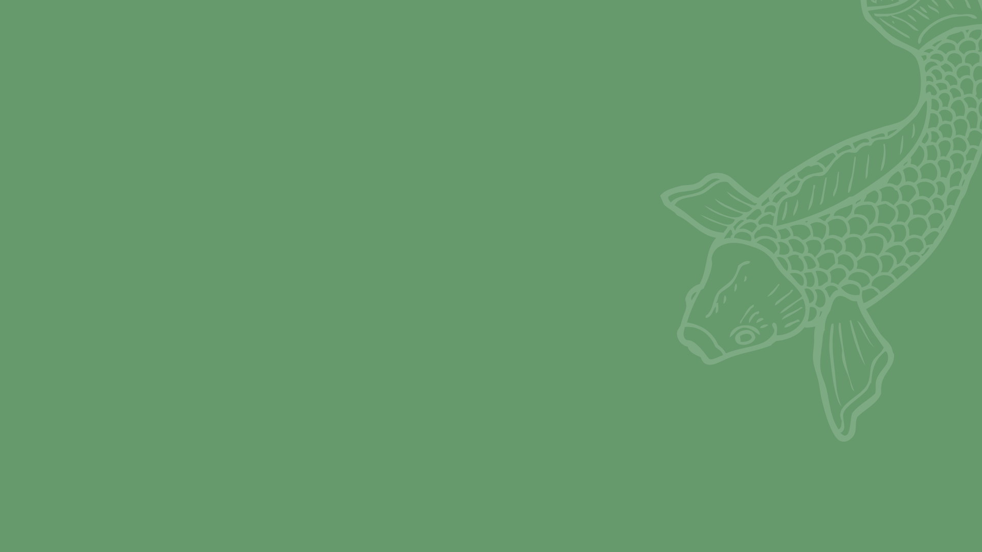 About — KOI Education