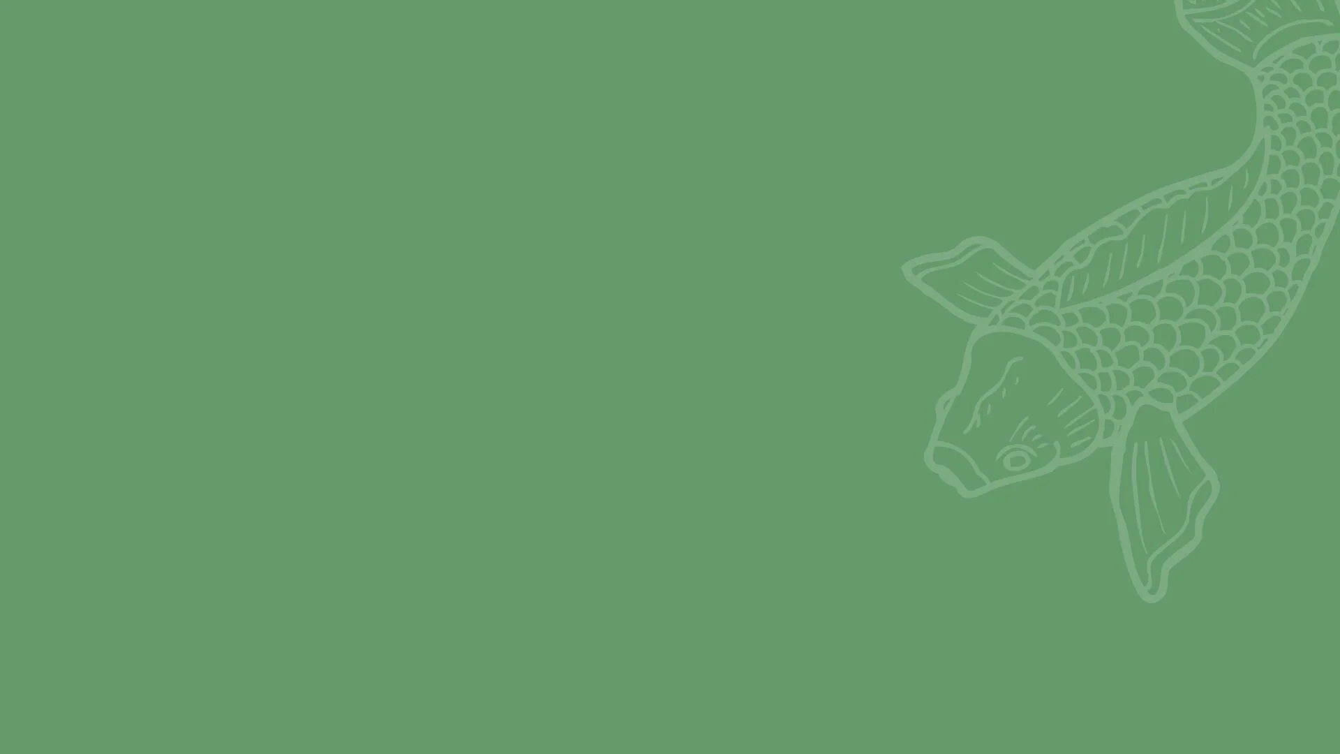 Success Stories — KOI Education