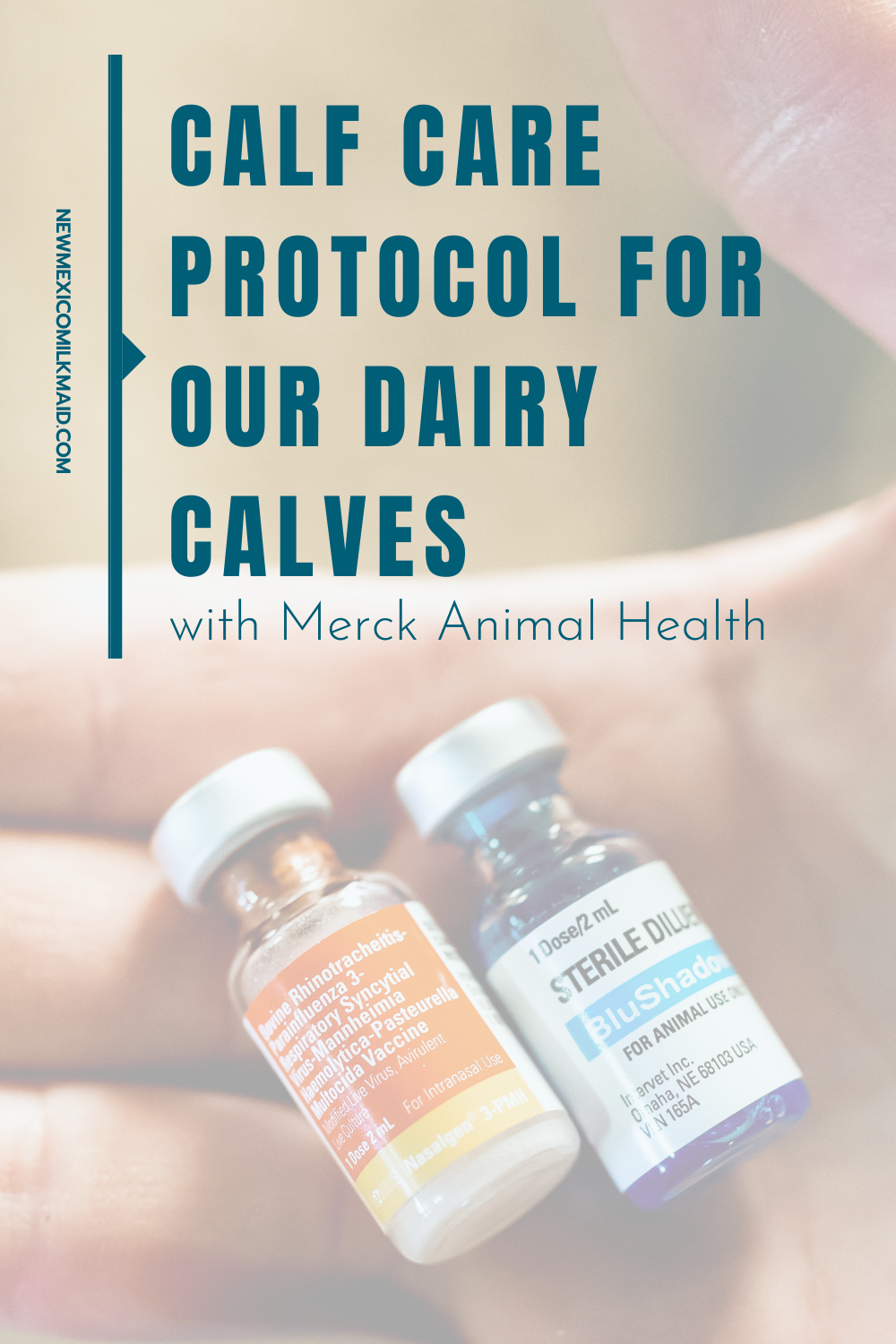 Calf Care Protocol for Our Dairy Calves with Merck Animal Health — Tara ...