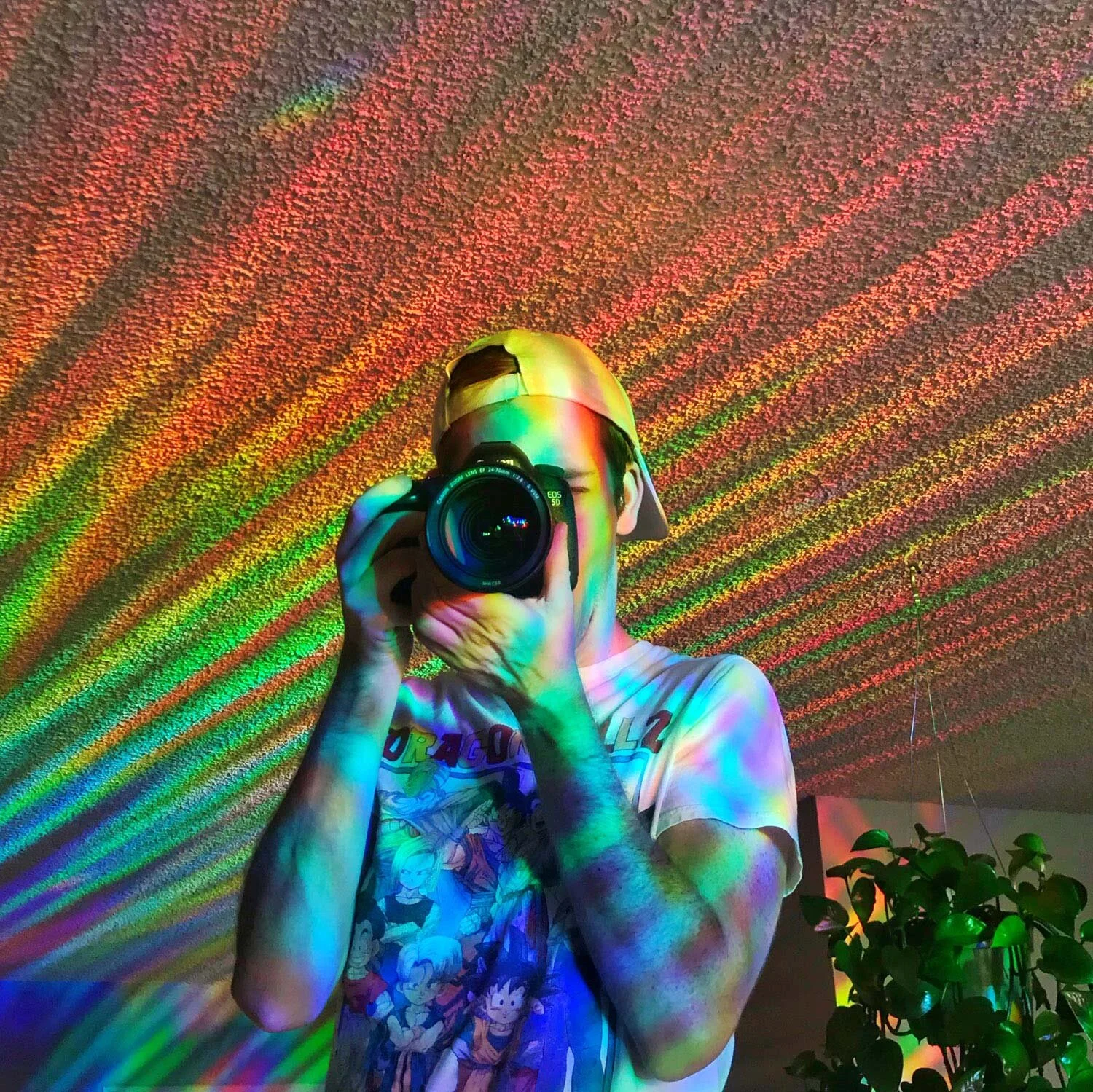 About — Alexa Meade Art