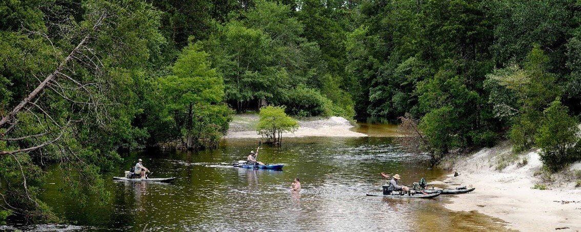 Blackwater River | Join the Adventure Today — Paddle Florida