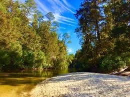 Blackwater River | Join the Adventure Today — Paddle Florida