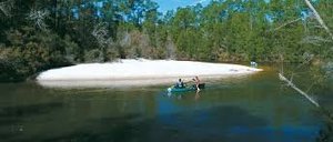Blackwater River | Join the Adventure Today — Paddle Florida
