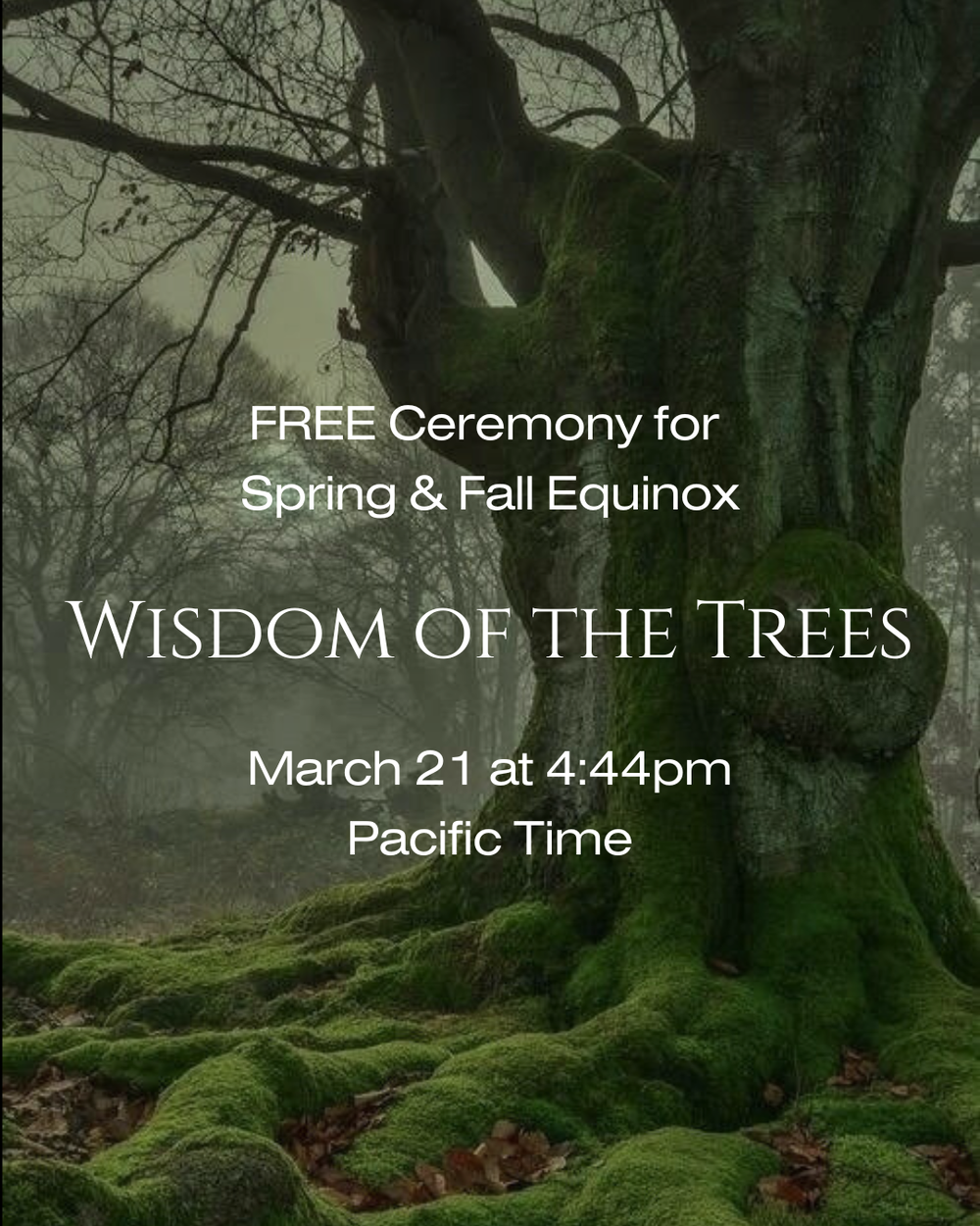 Wisdom of the Trees Equinox Ceremony — Sacred Ancestry