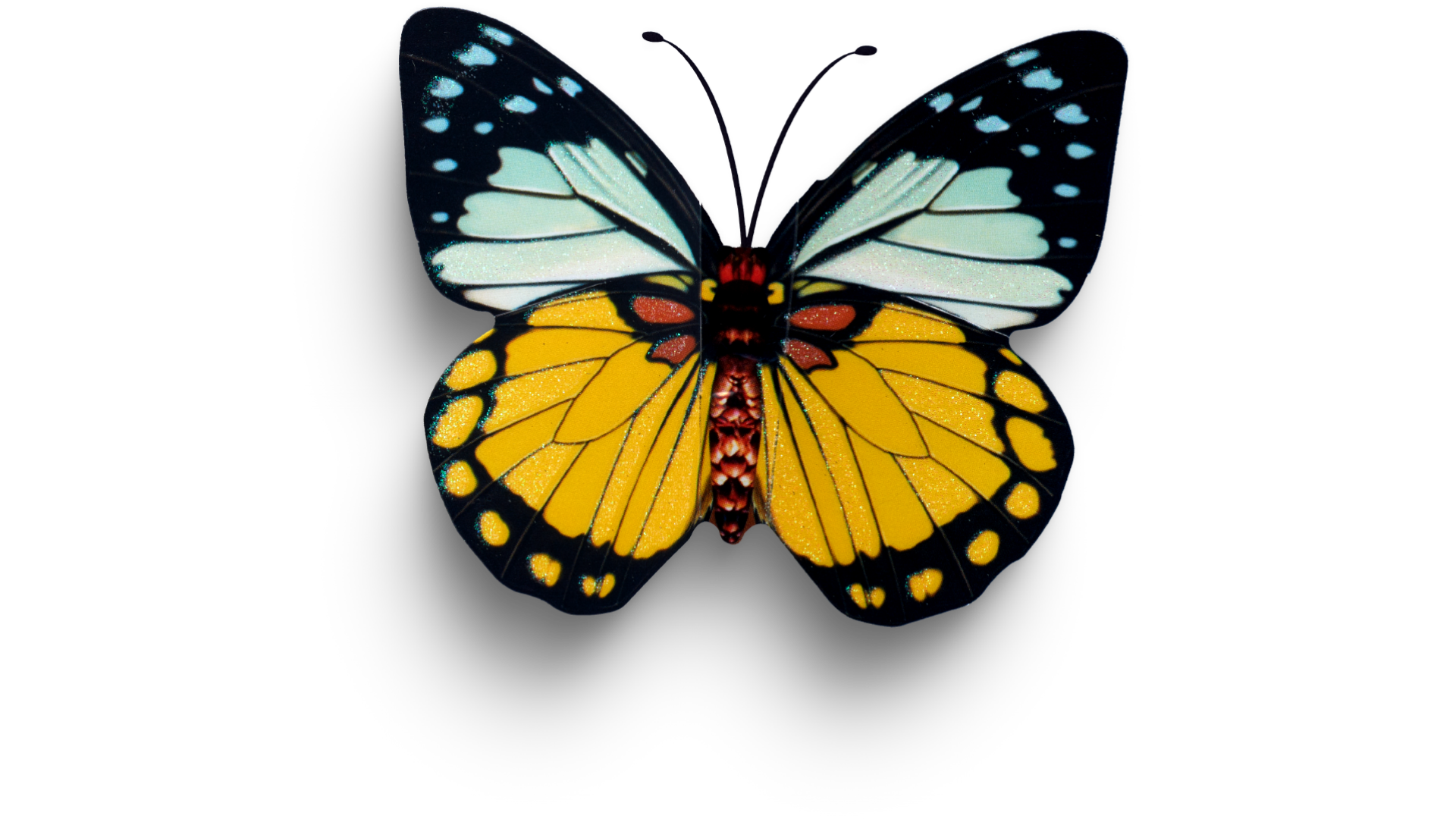 Inner Child Alchemy Course — Sacred Ancestry