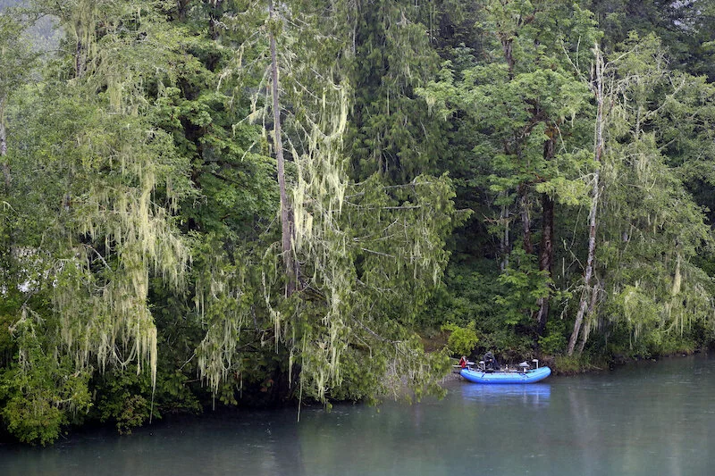 Puget Sound Info — Wild Steelhead Coalition