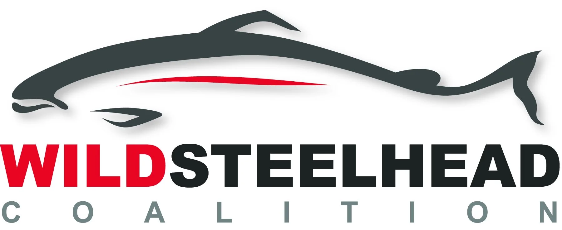 News — Wild Steelhead Coalition