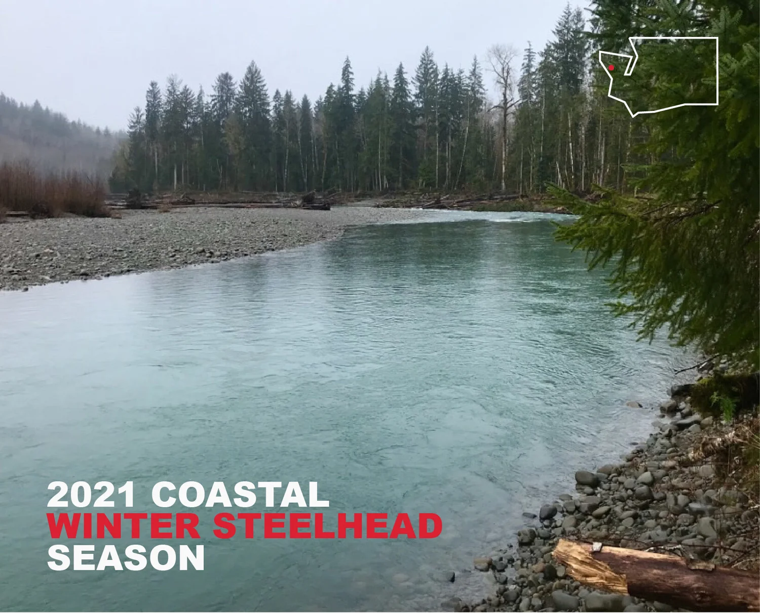 Winter on the Coast: Upcoming Options for Winter Steelhead on ...