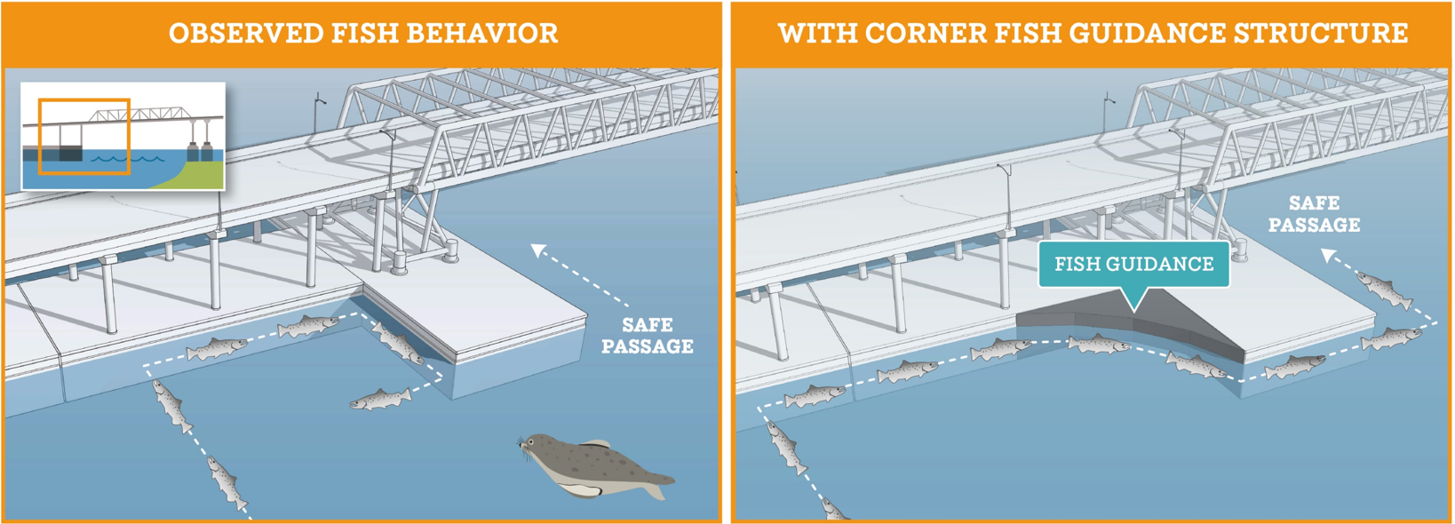 Bridge Over Troubled Waters — Wild Steelhead Coalition