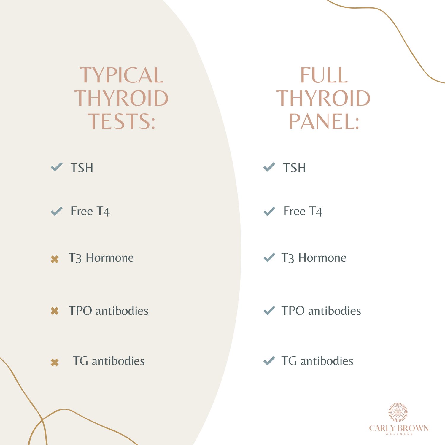 What’s Included in a Full Thyroid Panel + Why You Need One — Carly Brown