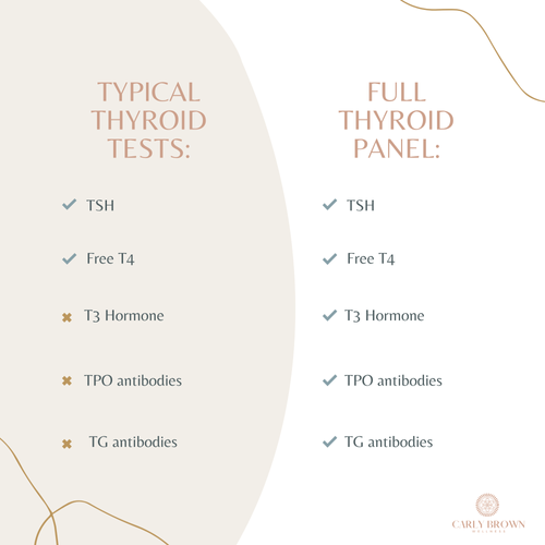 What’s Included in a Full Thyroid Panel + Why You Need One — Carly Brown