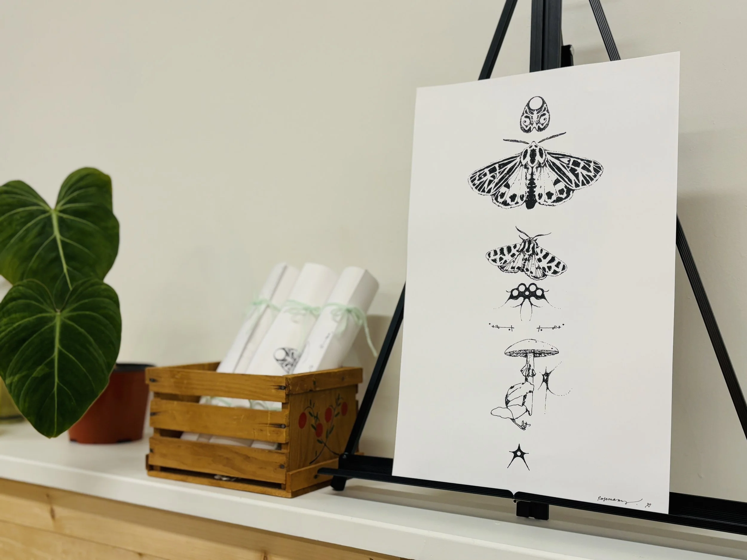 tiger moth poster — rosemary santoro