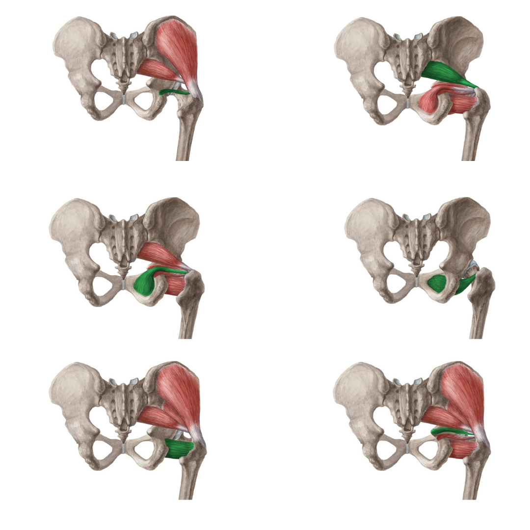 Why do DANCERS get HIP PAIN? — made to move