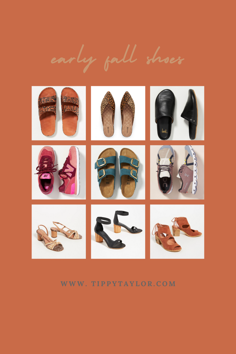 Fall shoe guide — Tippy Taylor