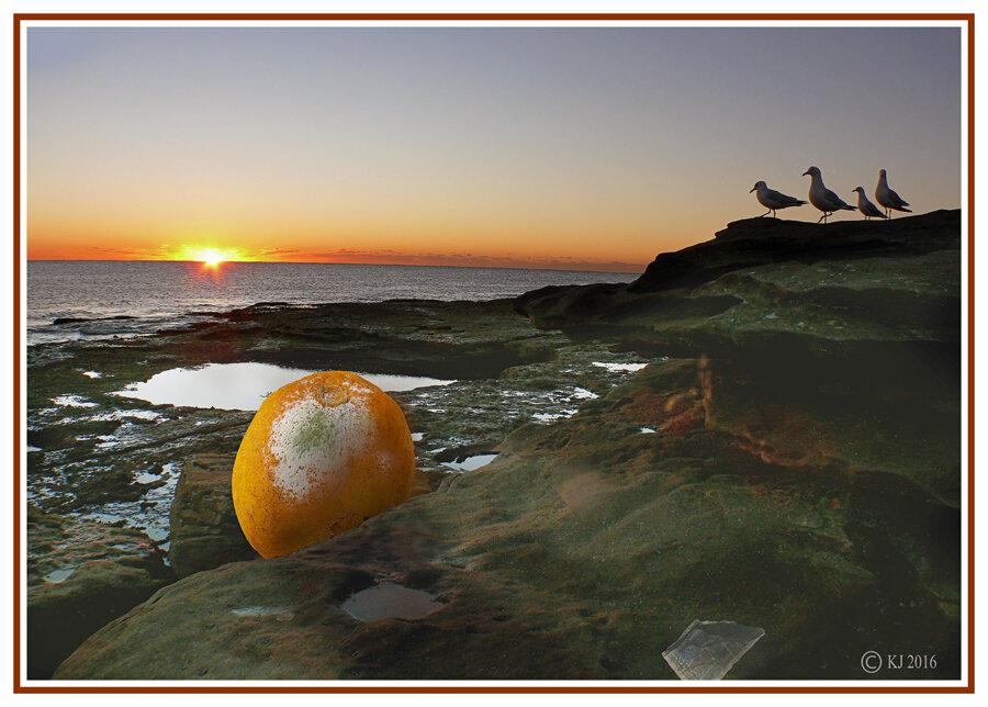 Surrealism Art for Sale — Nature Pictures & Art