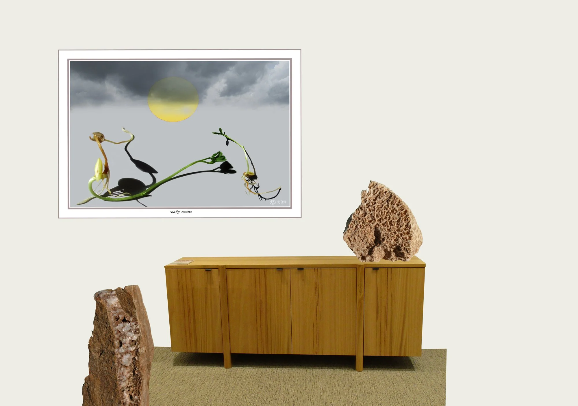 Baby Beans — Nature Pictures & Art