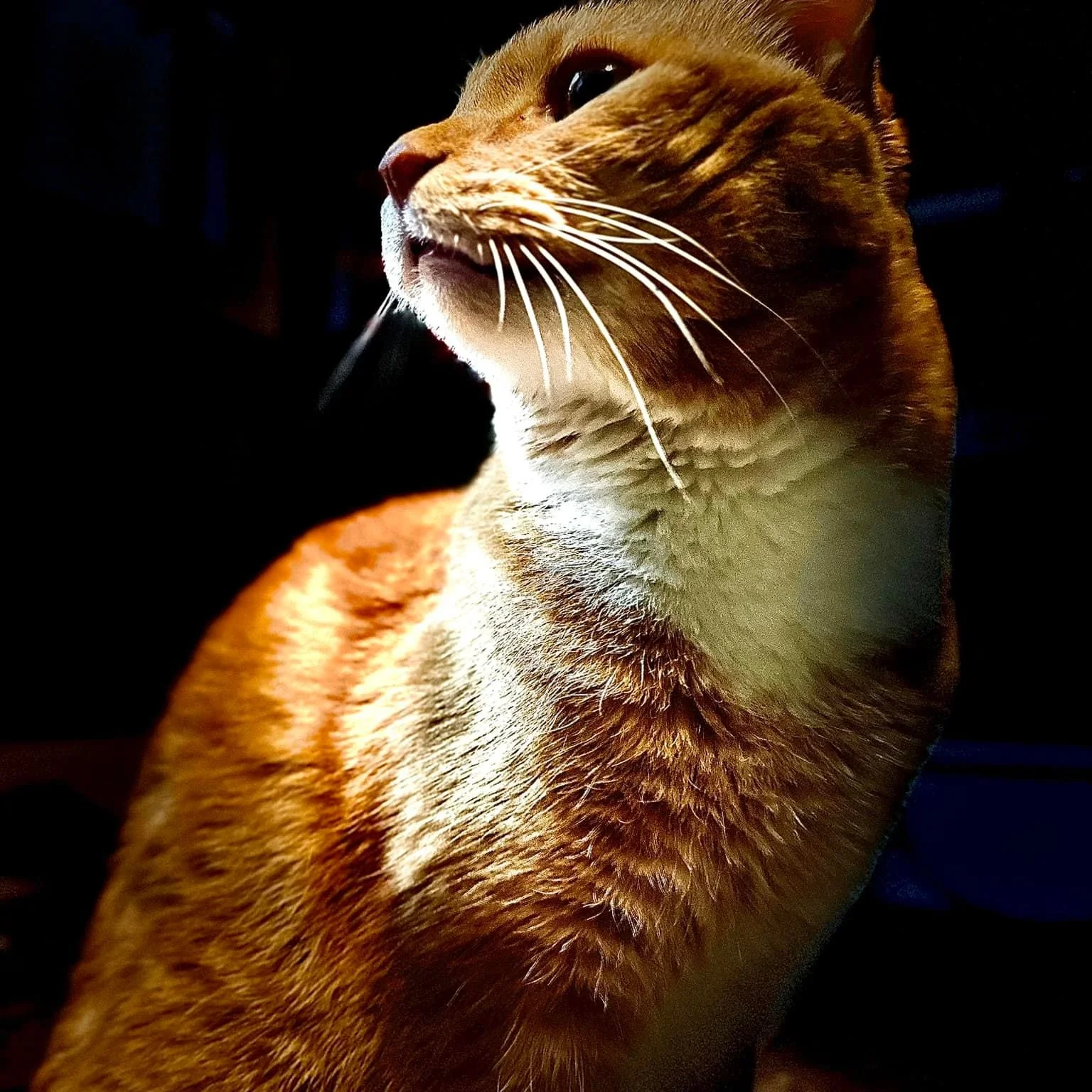 Company- Learn More About Us — bitfreighter