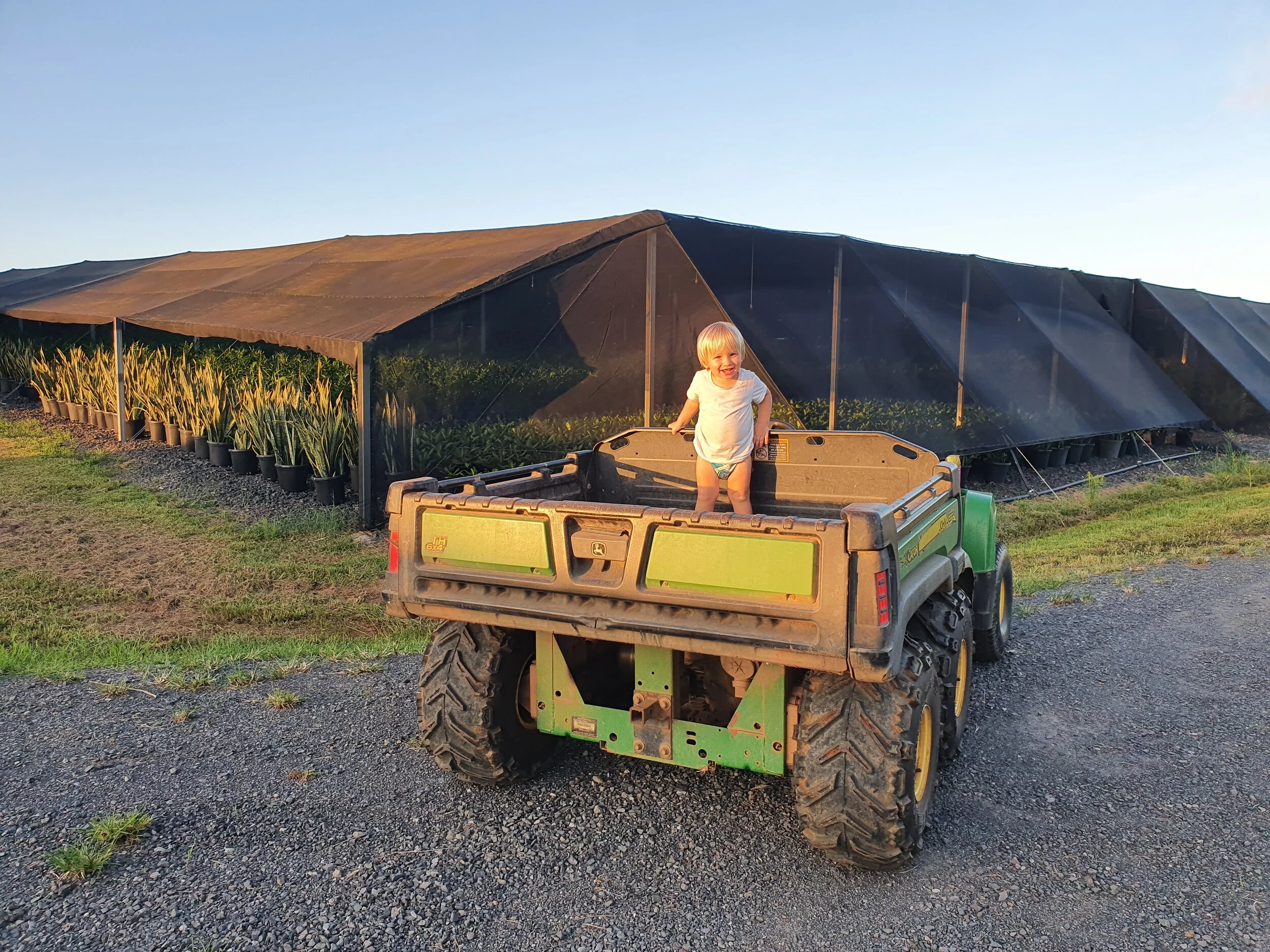 Gallery — Daradgee Wholesale Nursery