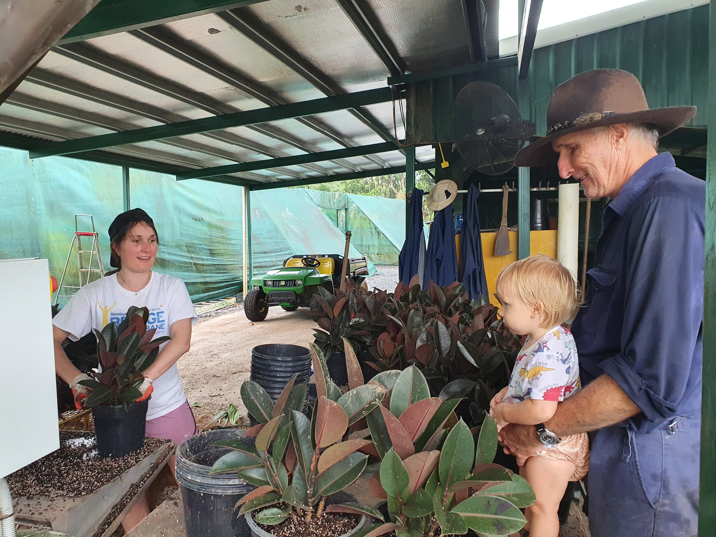 Gallery — Daradgee Wholesale Nursery