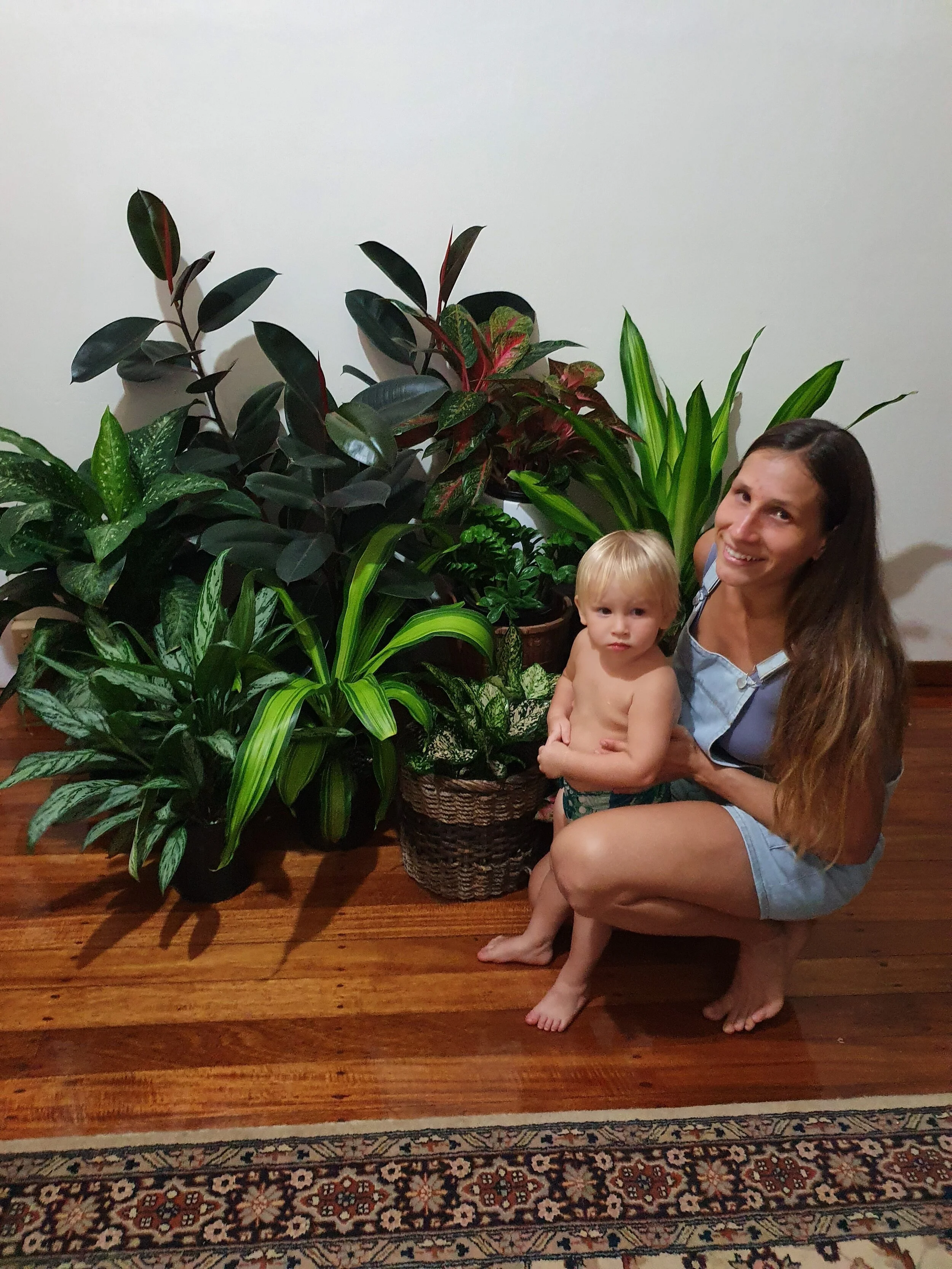 About Us — Daradgee Wholesale Nursery