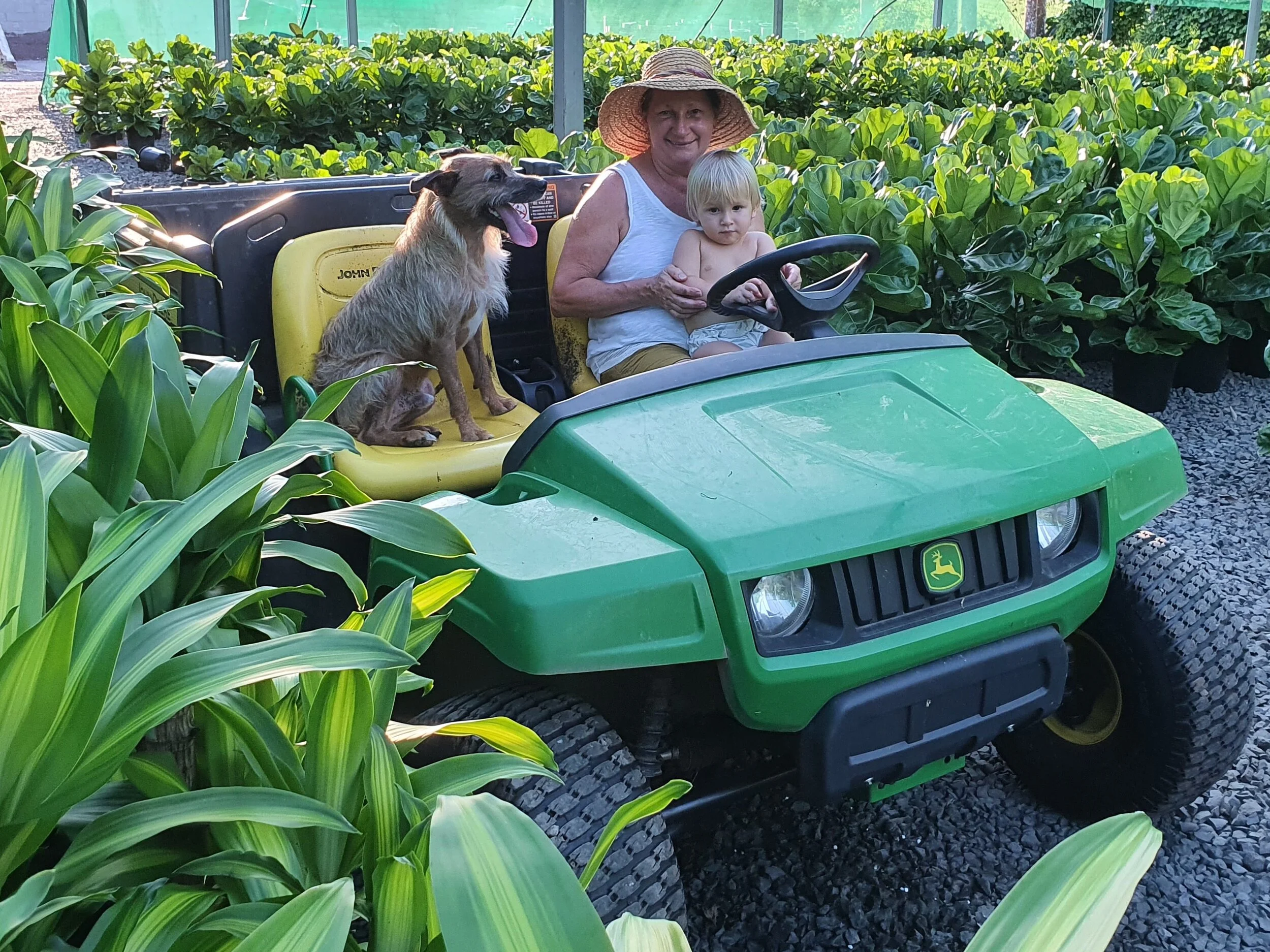 About Us — Daradgee Wholesale Nursery