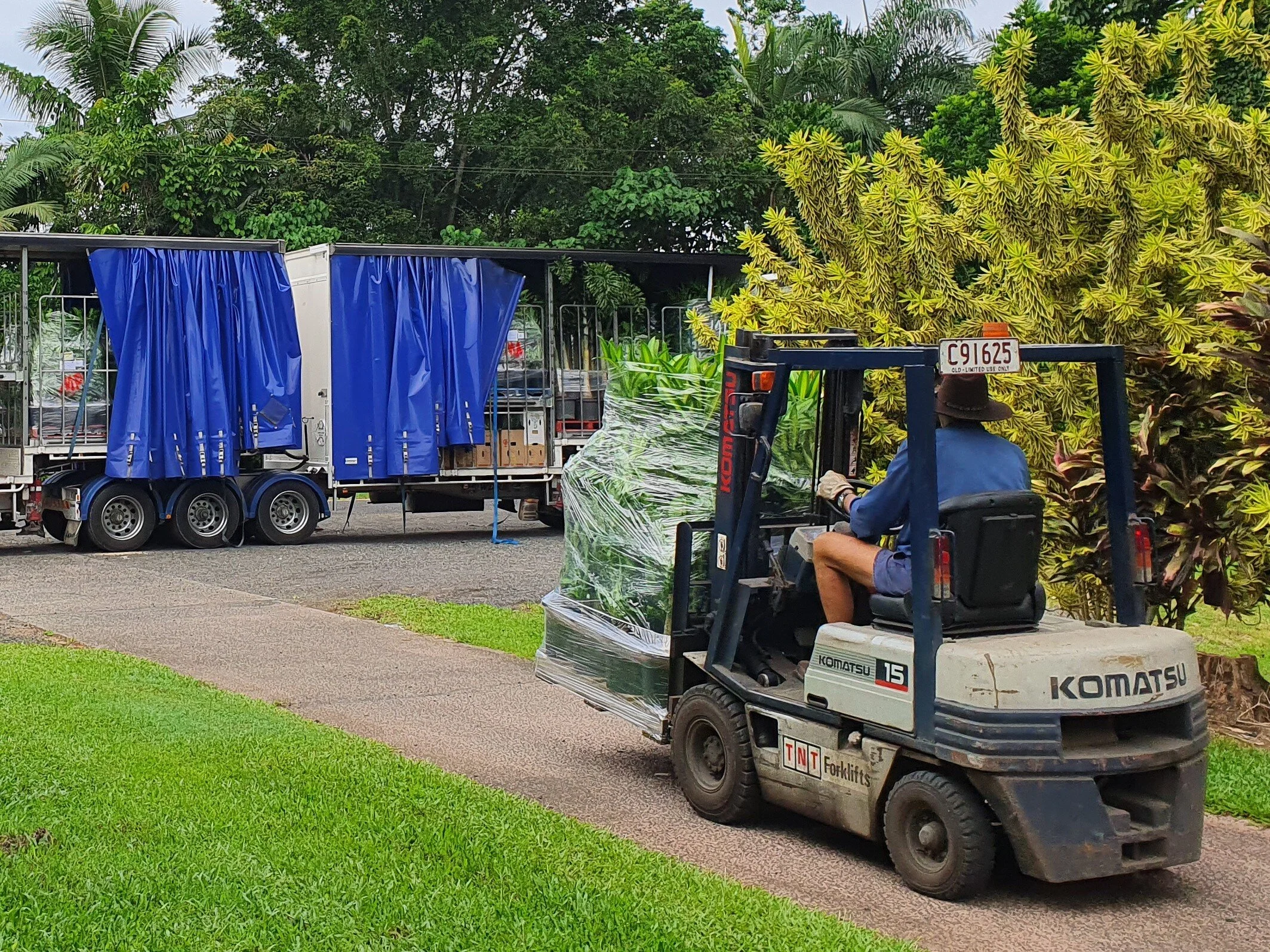 About Us — Daradgee Wholesale Nursery