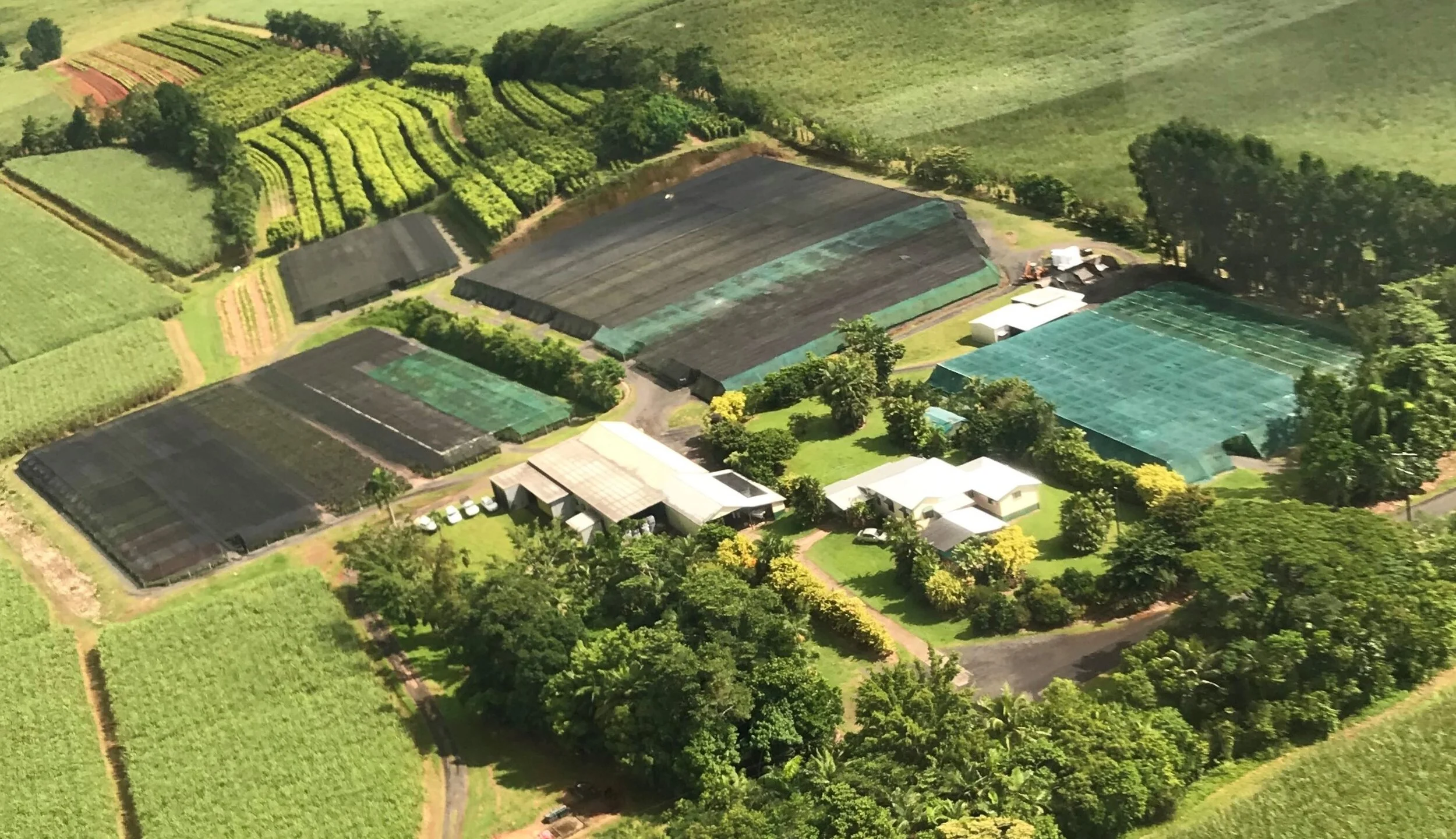 About Us — Daradgee Wholesale Nursery