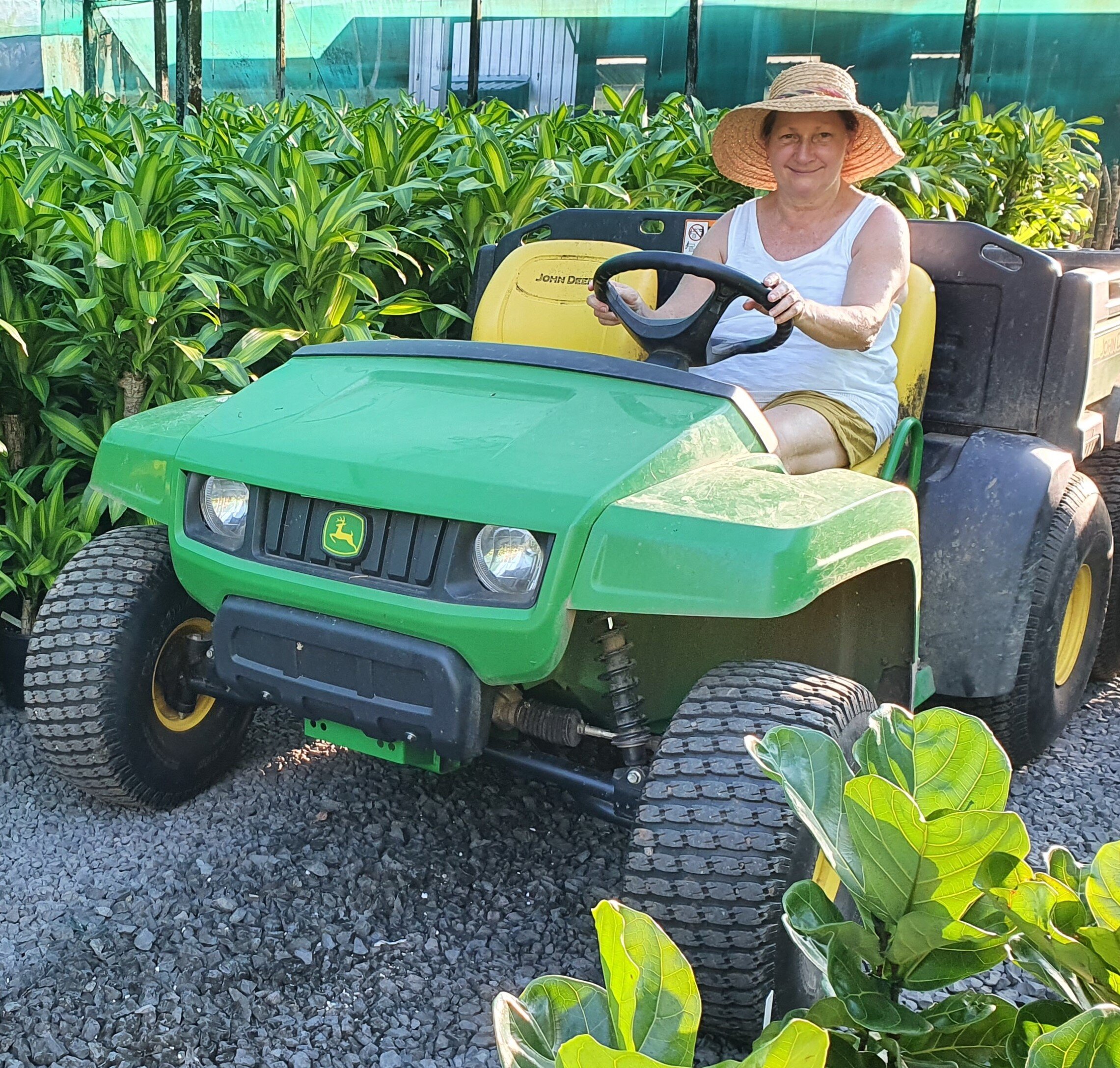 About Us — Daradgee Wholesale Nursery