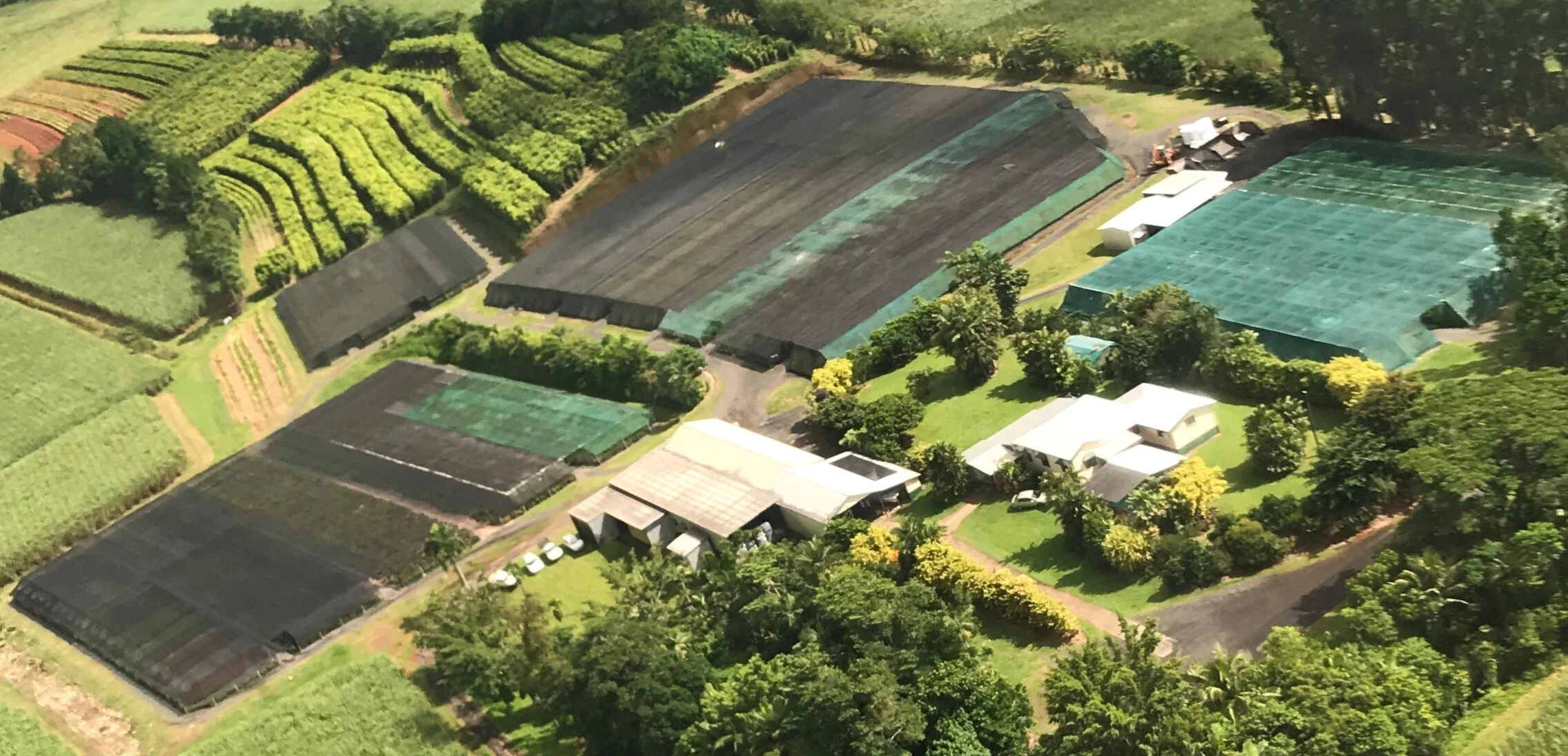 Contact — Daradgee Wholesale Nursery