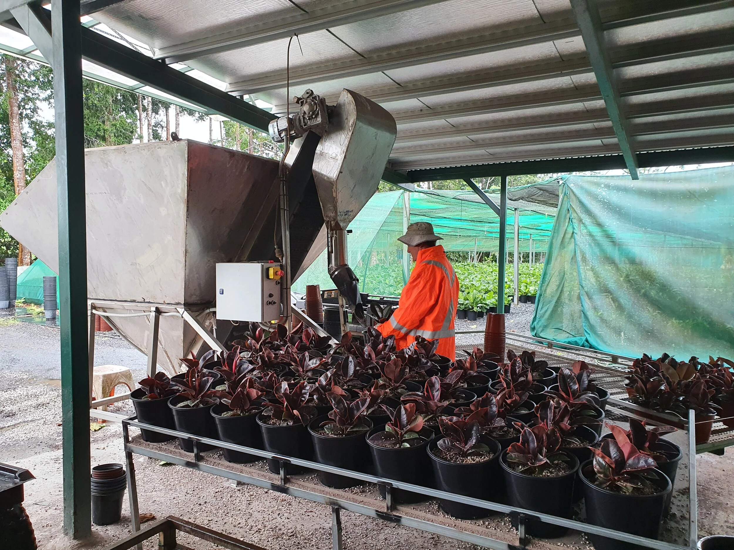 Gallery — Daradgee Wholesale Nursery