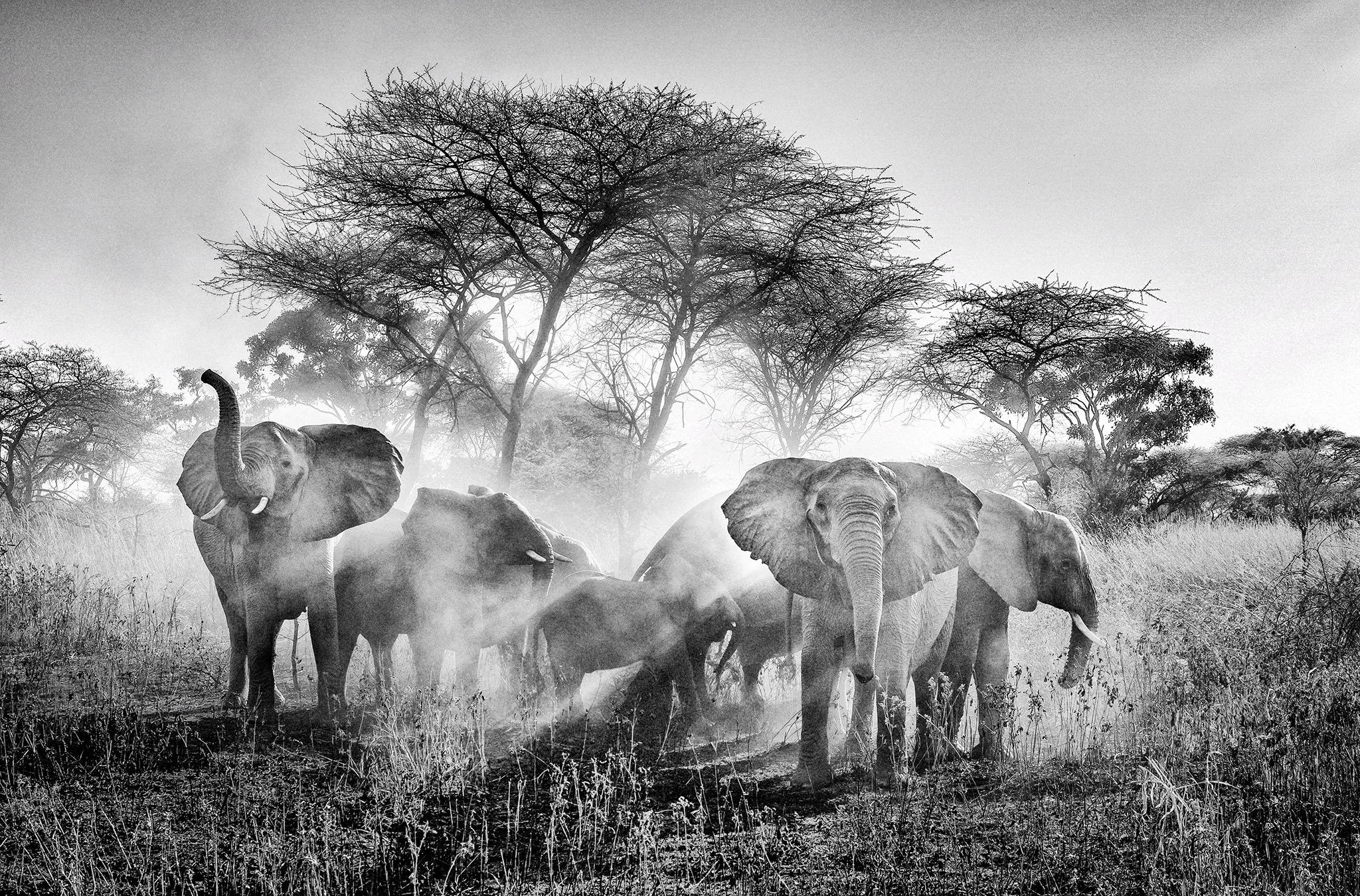 Travel Photographer - Austin Mann