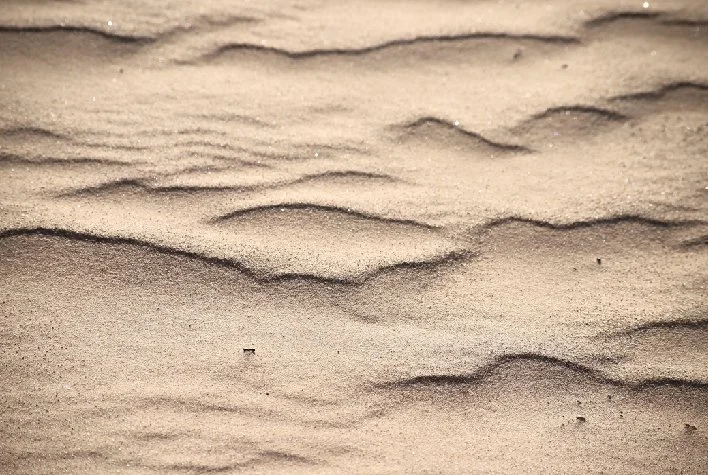 Sand | European Oak Wood Flooring | MADERA