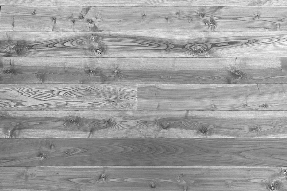 Color Variation | MADERA