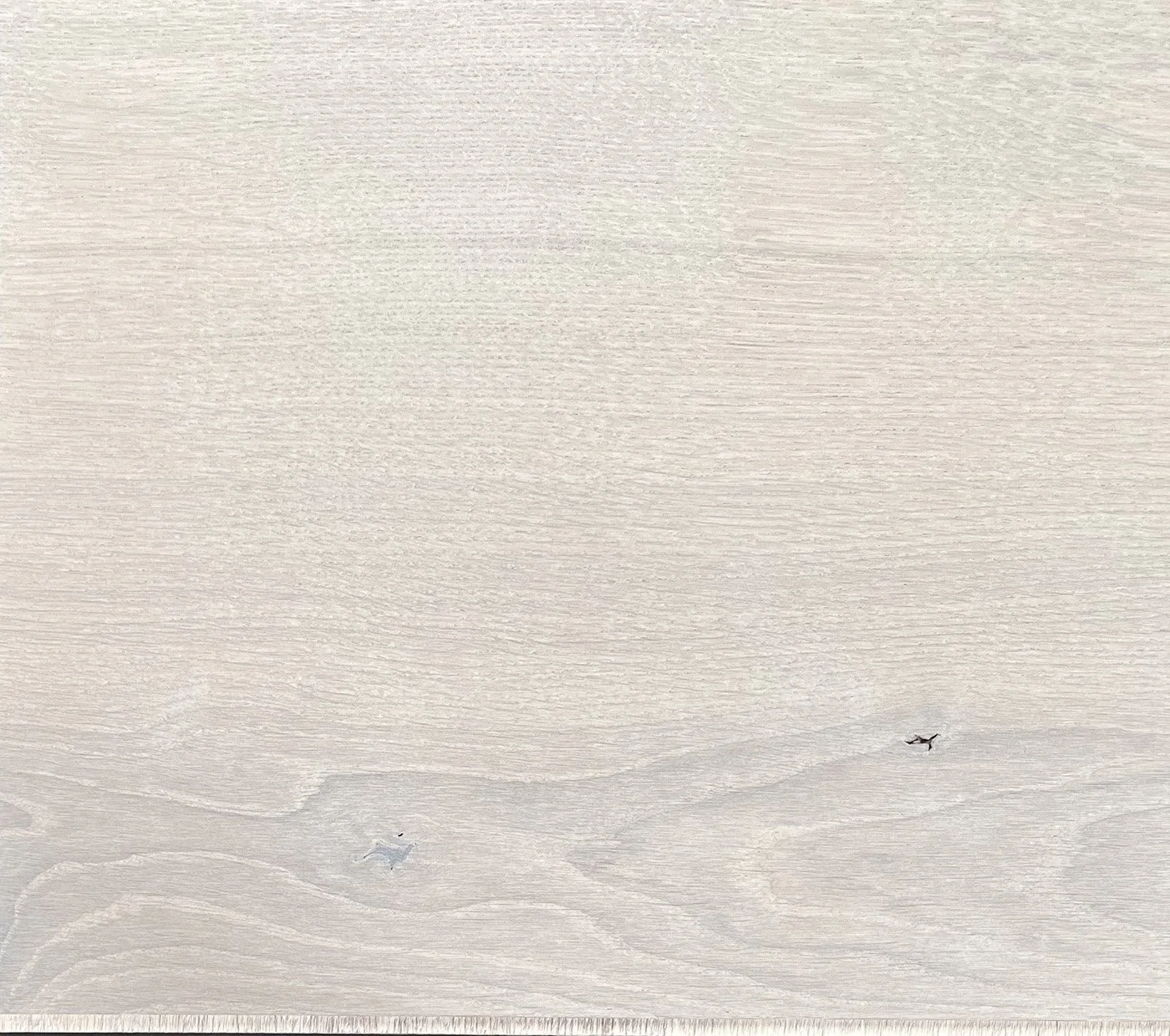 Samples, Lookbook and other Products | MADERA