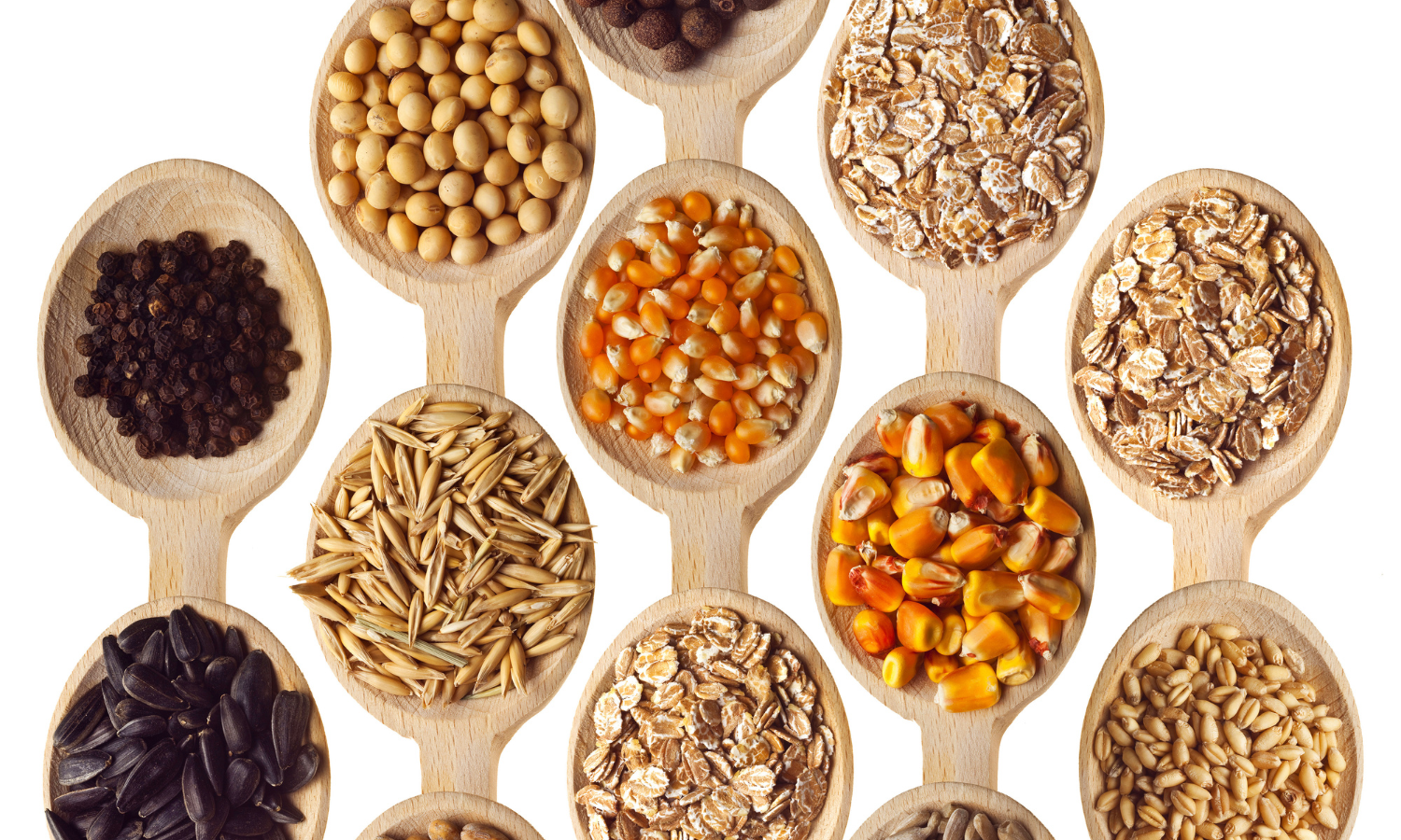 Best Seeds for Eczema & Psoriasis: What Each Does and How to Use Them ...