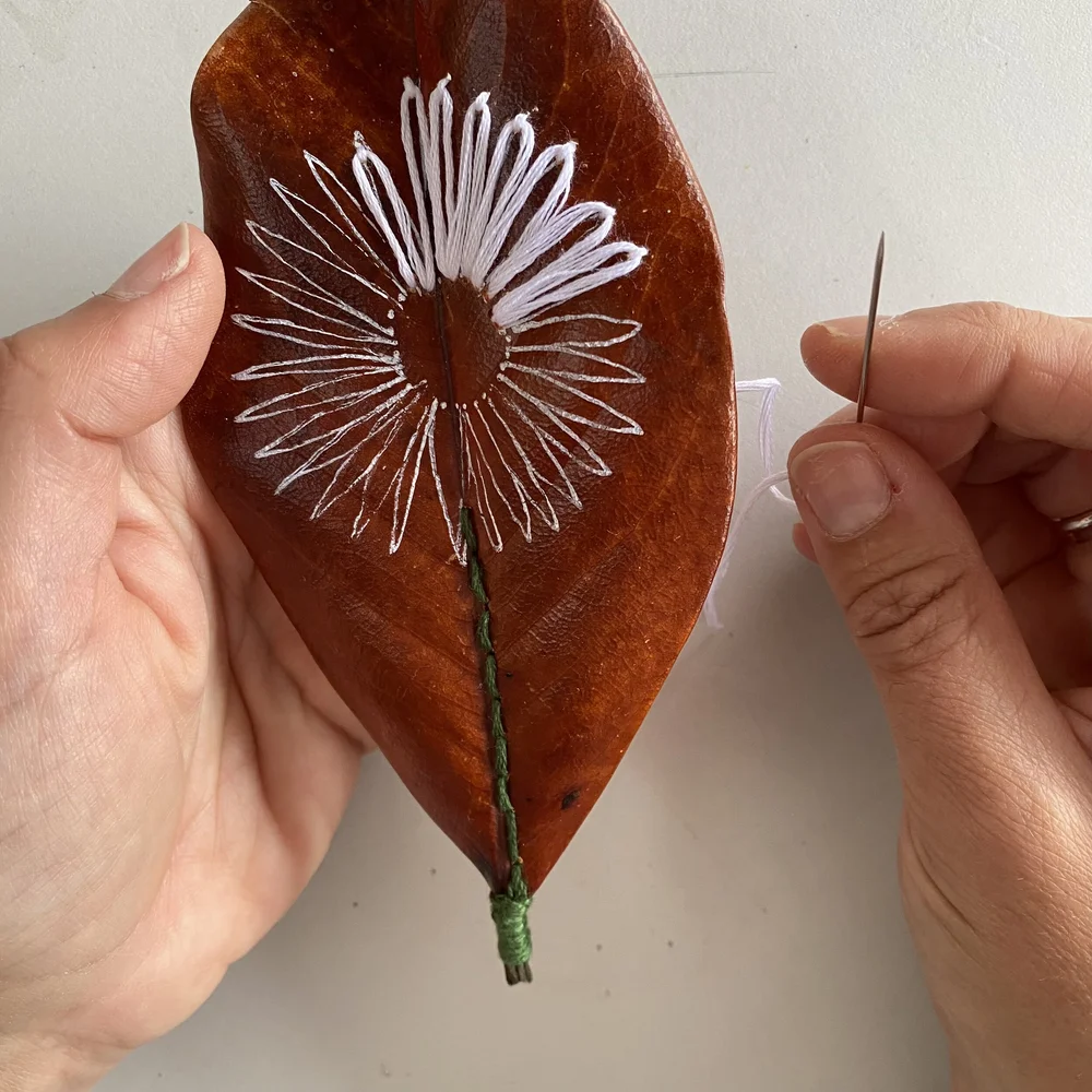 Weekly Workshops — Beth Morris Workshops