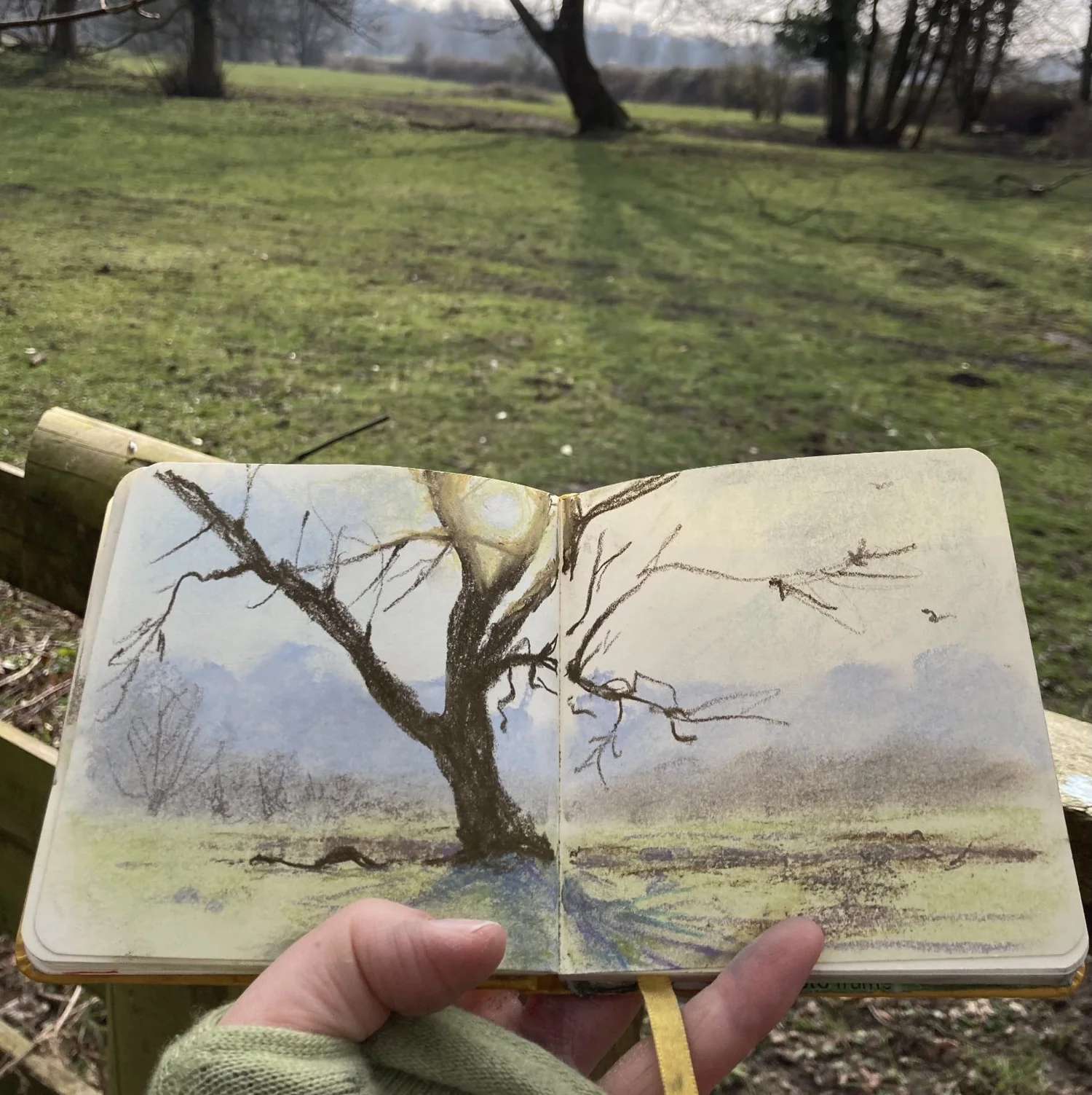 GUEST ARTIST WORKSHOPS — Beth Morris Workshops